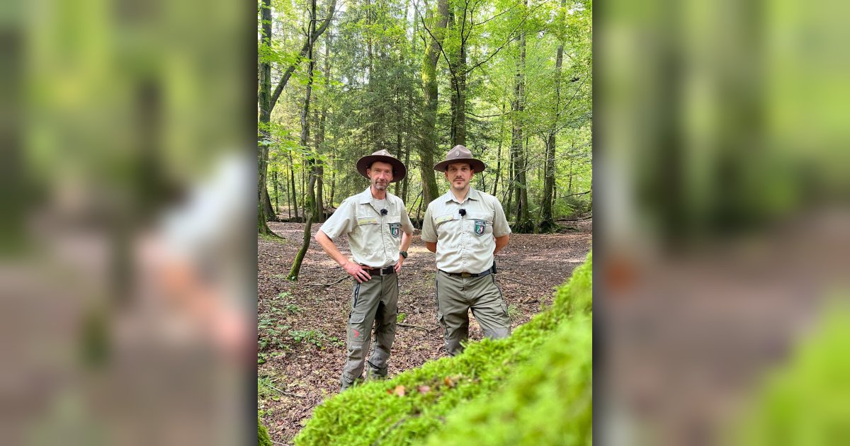 Rangerführung im Aachener Wald | Stadt Aachen